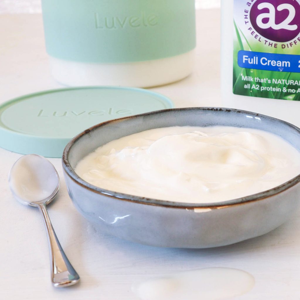 Luvele Life Tagged "yogurt basics" - Luvele US