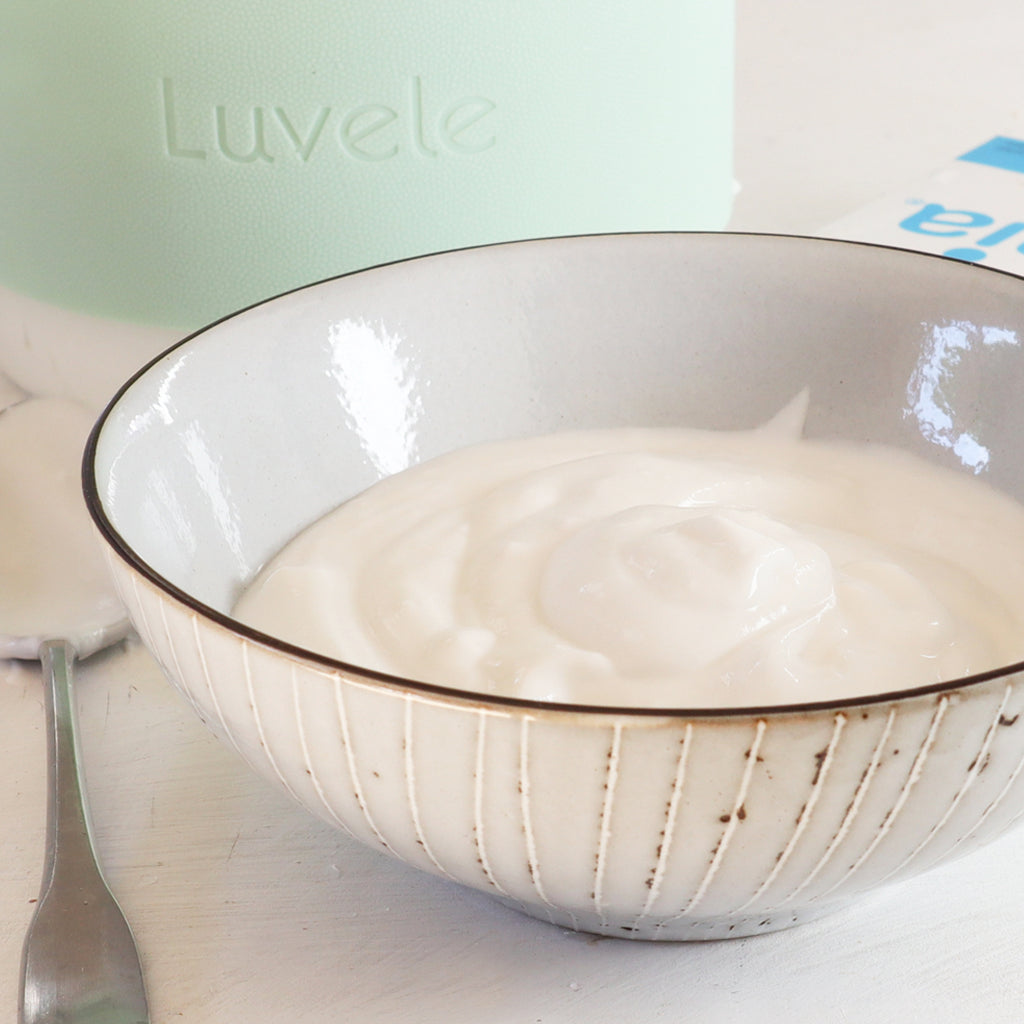 Step by step L.Reuteri coconut yogurt recipe - Luvele US