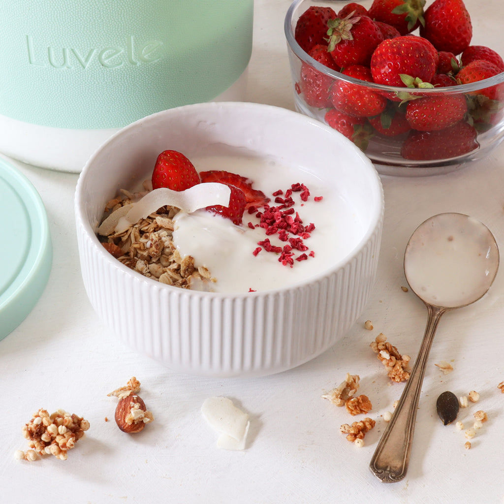 Homemade coconut yogurt thickened with gelatin - Luvele US