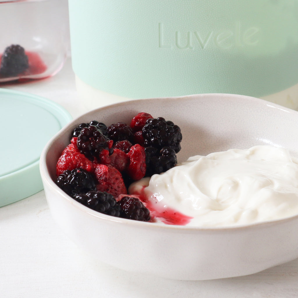 How to make Icelandic Skyr in a yogurt maker - Luvele US