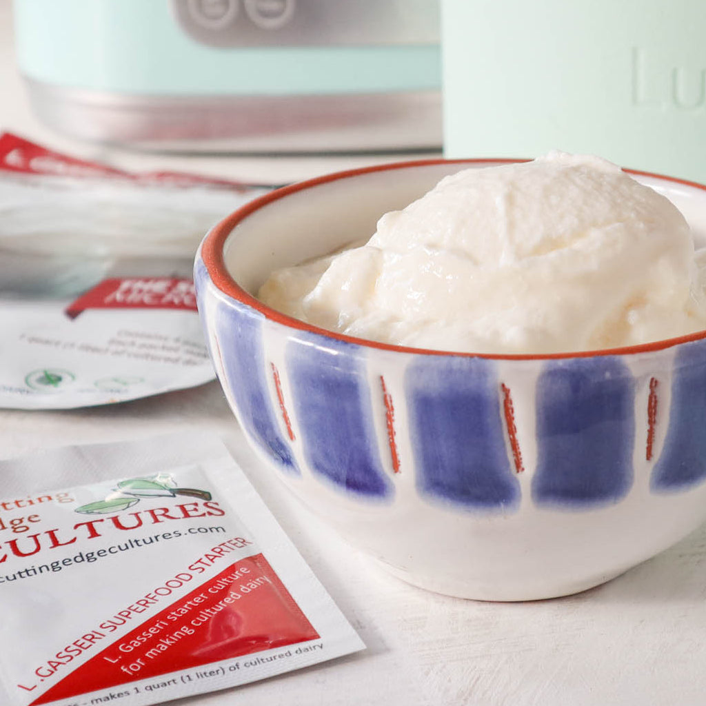 How to make yogurt with Lactobacillus Gasseri - Luvele US