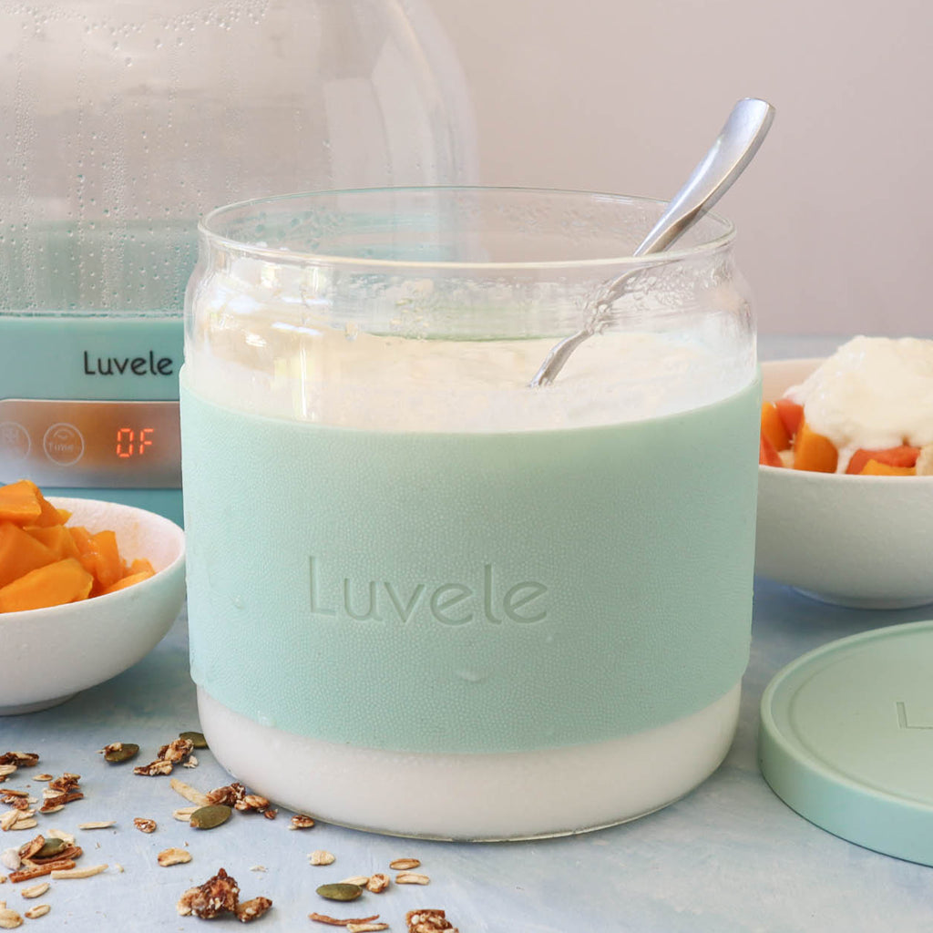 Homemade low-fat and skim milk yogurt recipe - Luvele US